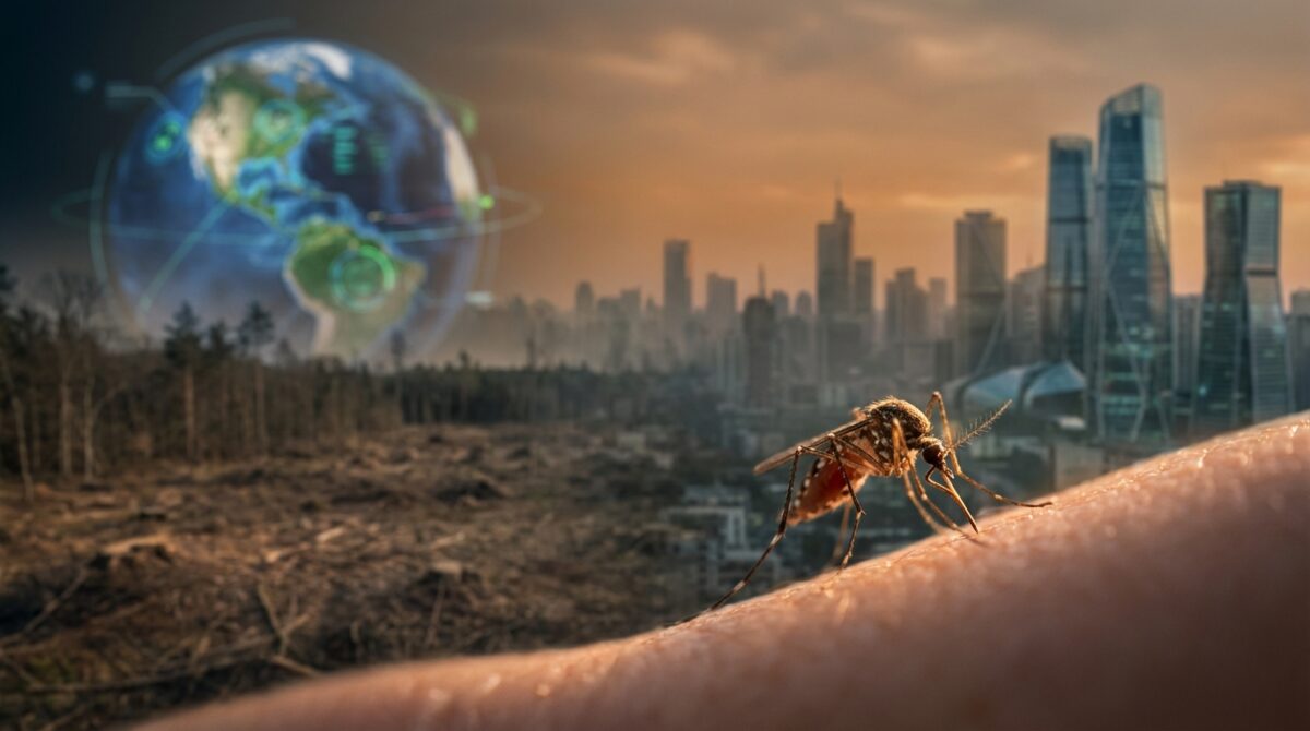 How deforestation is increasing mosquitoes' preference for human blood ...